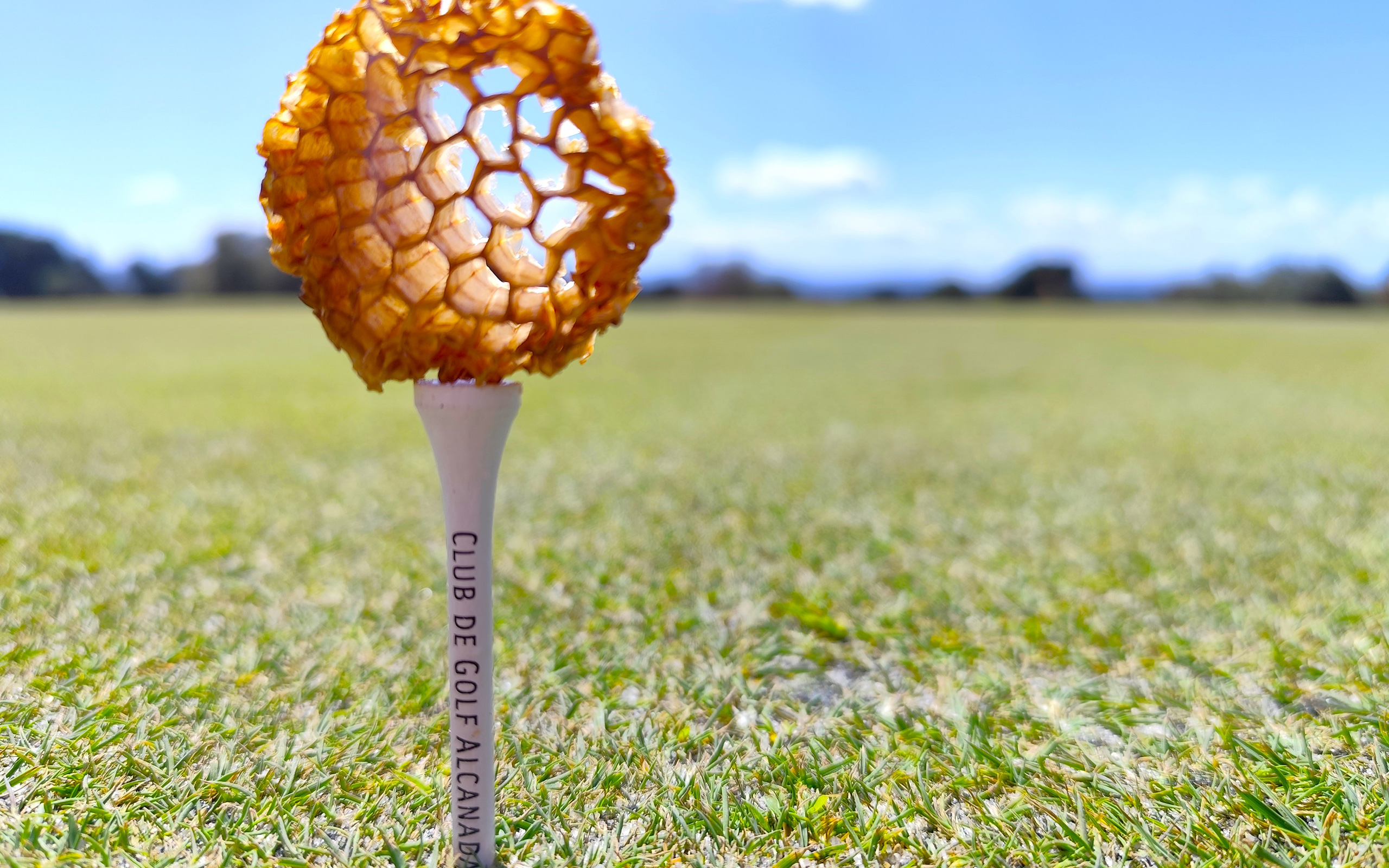 Alcanada shines a light on pollinators on World Bee Day - worldclass.golf